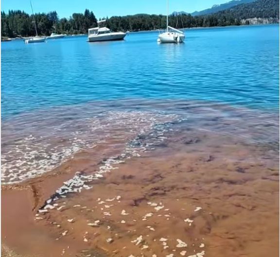 Las Balsas: se viralizó un nuevo video sobre una posible contaminación en el Lago Nahuel Huapi ...
